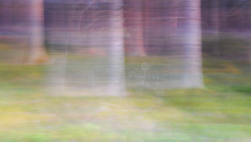 Colorful forest defocused stock image. Image of abstract - 270843619