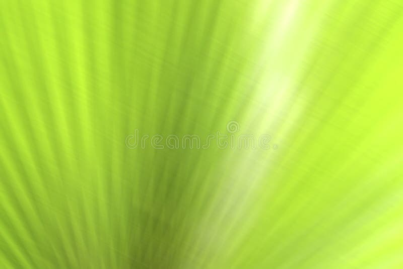 Green linear background stock image. Image of childhood - 218640599