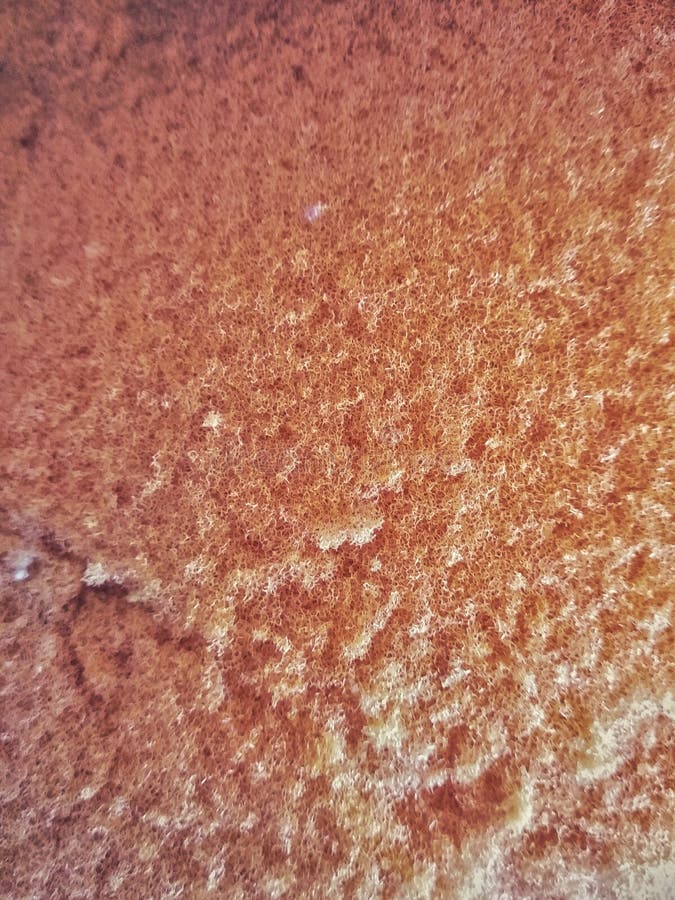 Blurred Design Elements Rough Background Orange Color Abstract Texture ...