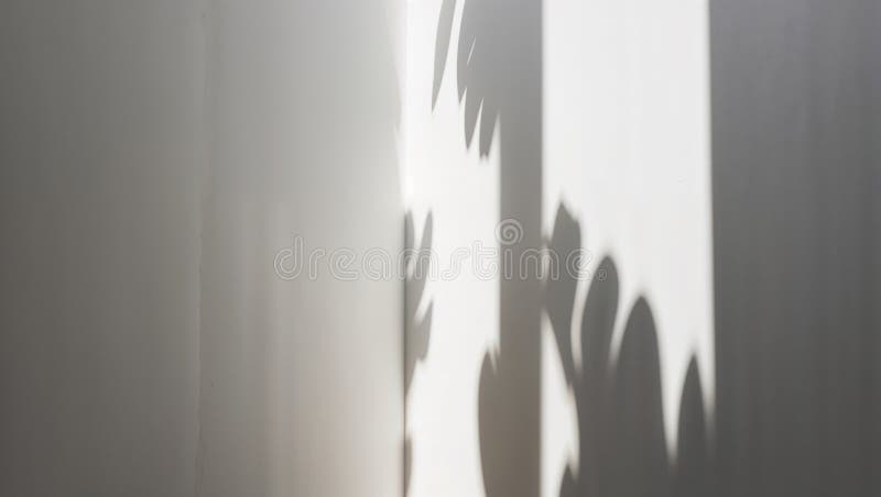 Blurred Floral Shadow Overlay Effect on White Wall Stock Illustration ...