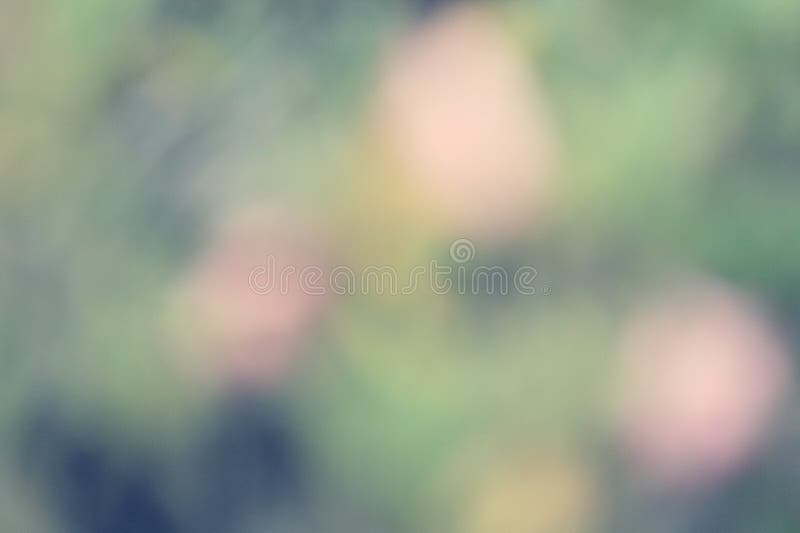 Blurred flower background stock image. Image of defocused - 42840035