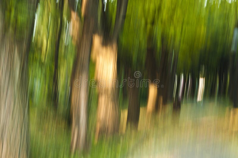 Blurred Forest Background. Motion-blurred Image of a Forest Stock Image ...