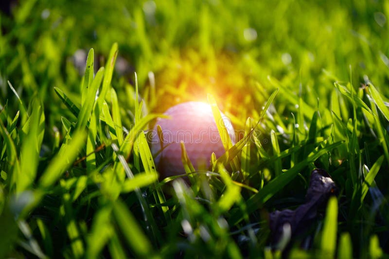 Golf Ball on Rough in Beautiful Golf Course at Sunset Background Stock ...