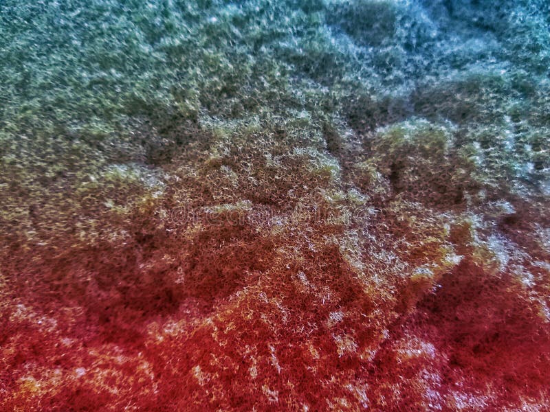 Blurred Design Elements Rough Background Gradient Blue Pink Abstract ...