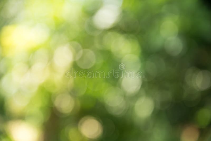 Blurred green background stock image. Image of focus - 45901353