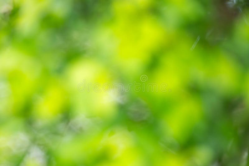 Blurred green backgrround stock photo. Image of light - 50391960