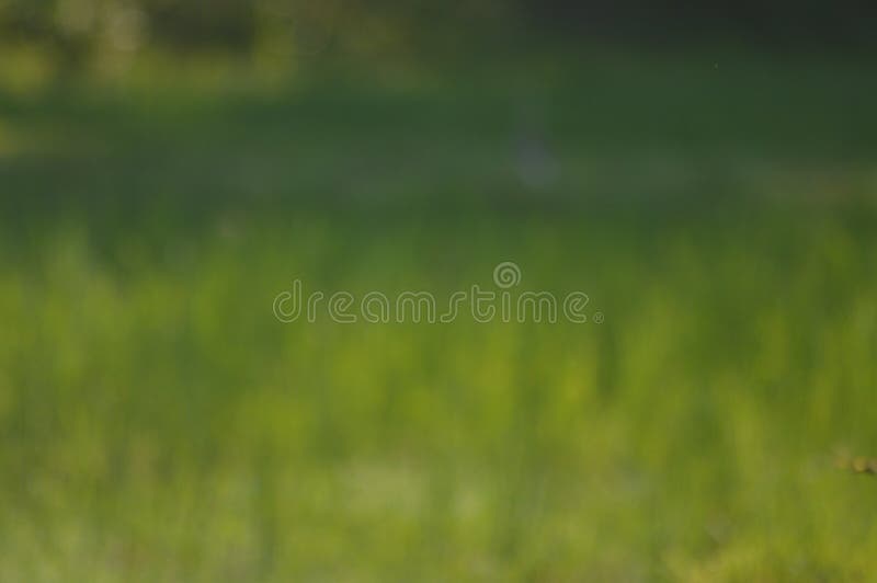 Blurred green photography stock photo. Image of blurred - 180918982