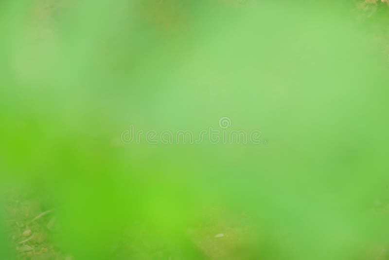 Blurred Green Template with Green Nature Background and Sun Light Stock ...