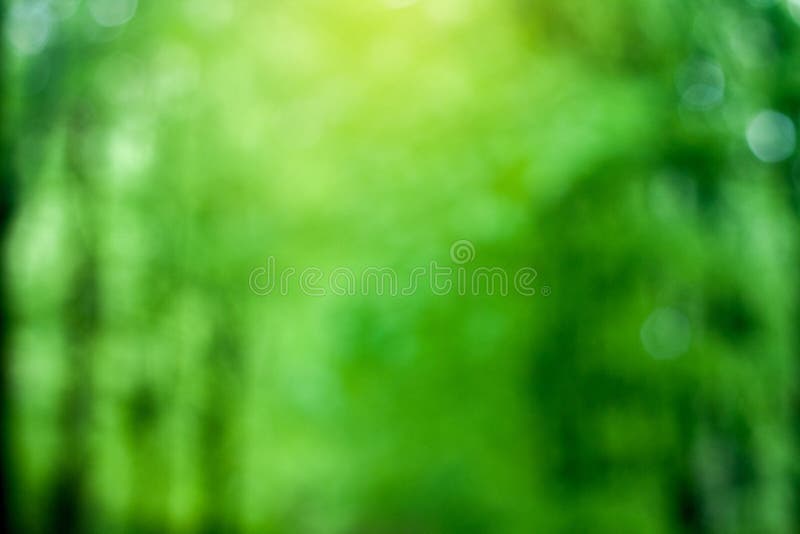 Blurred Green Trees Forest Background Stock Image - Image of leaves ...