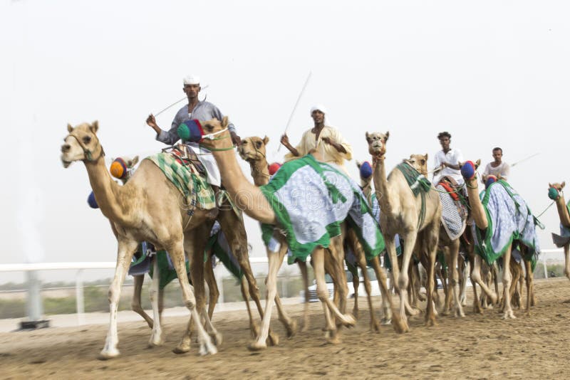 Blurred Image of Camels in Rub Al Khali Desert at the Empty Quarter, in ...