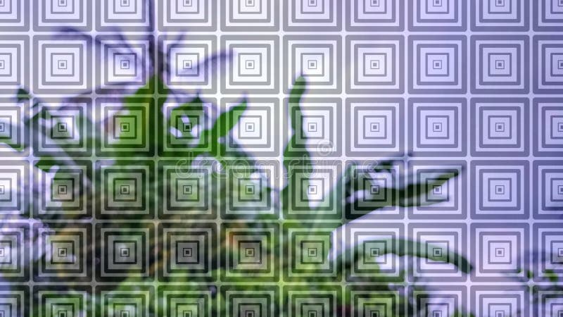 Transparent Grid Overlay Drawing Stock Photos - Free & Royalty-Free ...