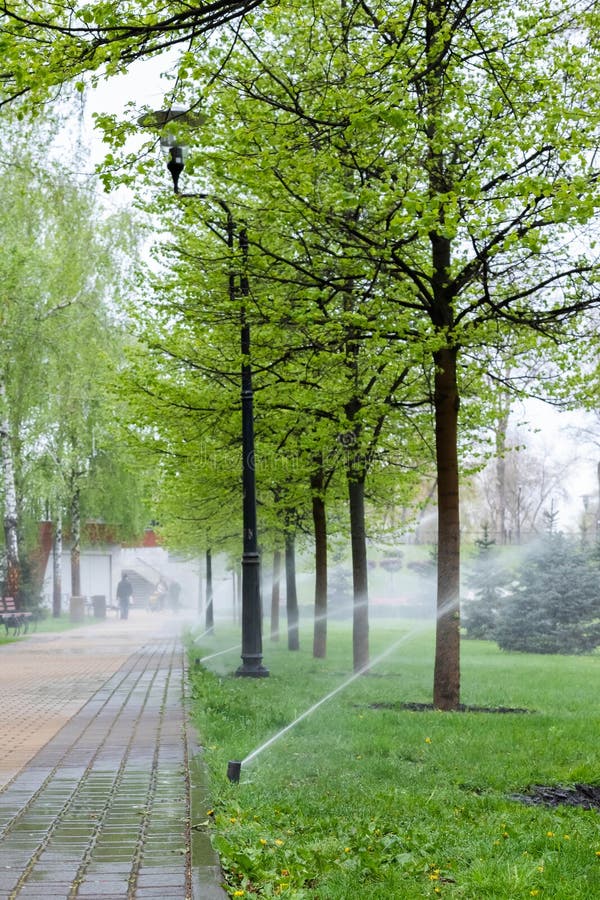 Blurred Image of Sprinkler Lawn Watering System in the Park in Spring ...