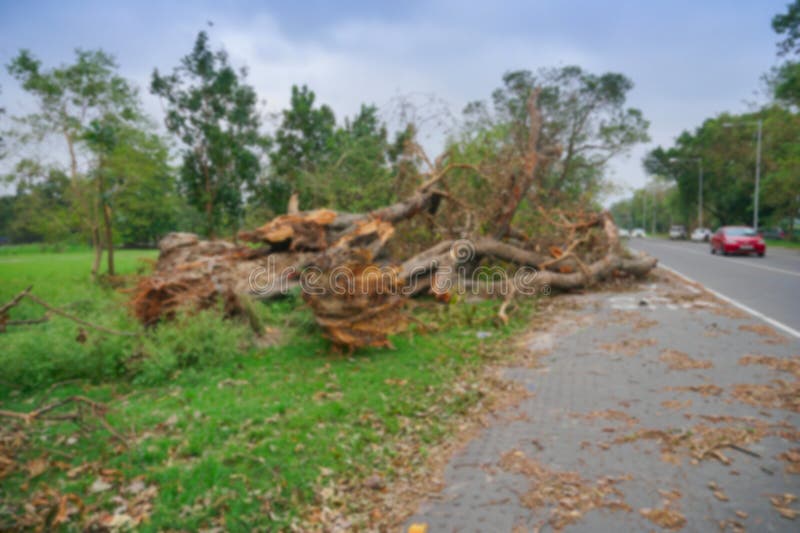 Blurred Image of Super Cyclone Amphan Uprooted Tree Which Fell on ...