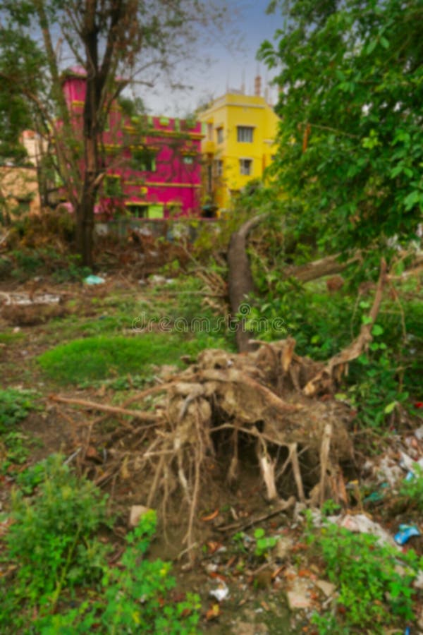 Blurred Image, Super Cyclone Amphan Uprooted Trees Which Fell on a ...