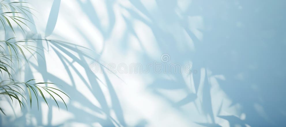 Blurred Leaf Shadows with Dim Light on Blue Background, Wall Stock ...