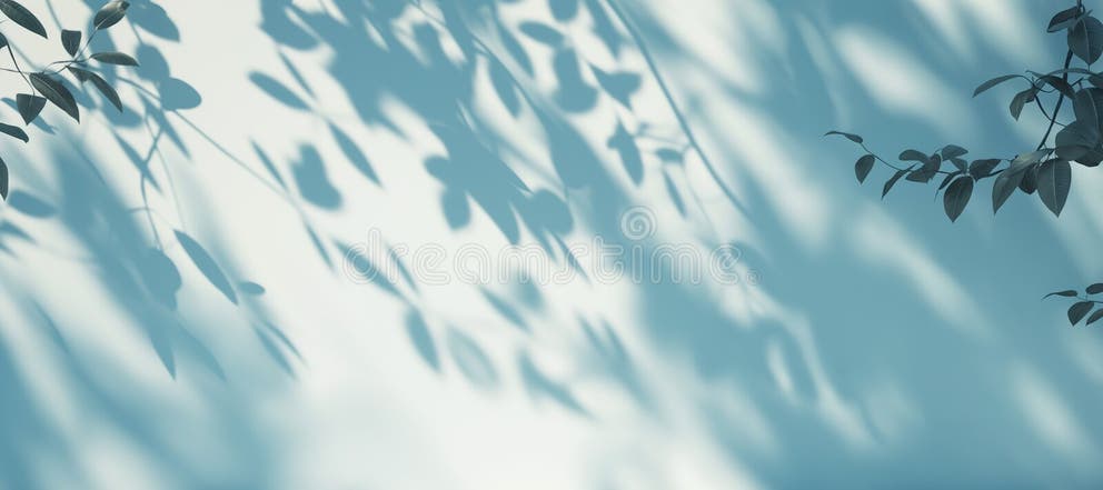 Blurred Leaf Shadows with Dim Light on Blue Background, Wall Stock ...