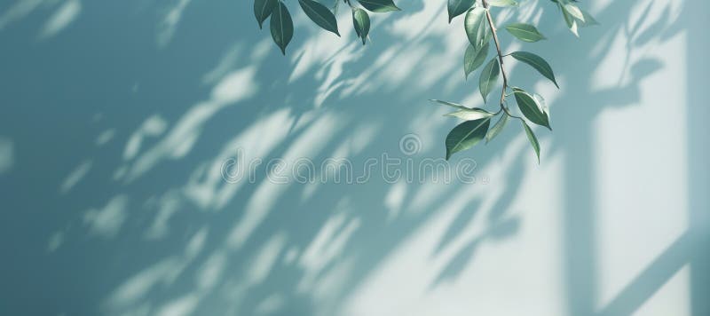 Blurred Leaf Shadows with Dim Light on Blue Background, Wall Stock ...