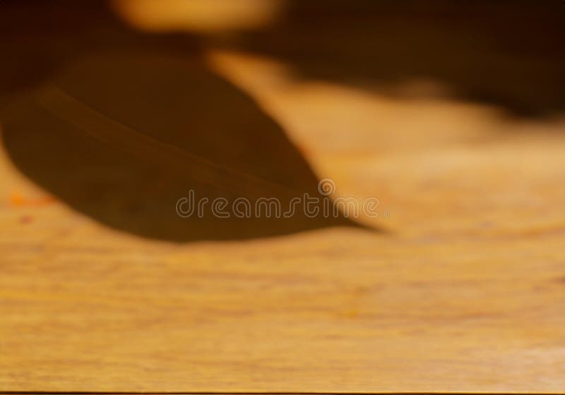 Blurred Leave Shadow on Wood Table Stock Illustration - Illustration of ...