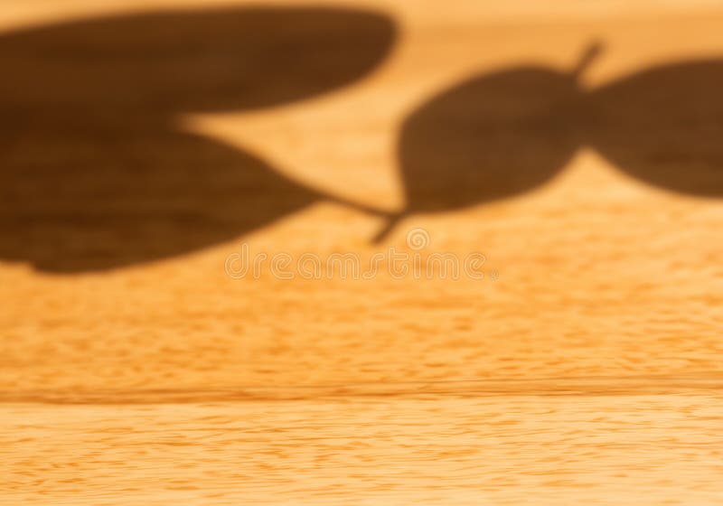 Blurred Leave Shadow on Wood Table Stock Illustration - Illustration of ...