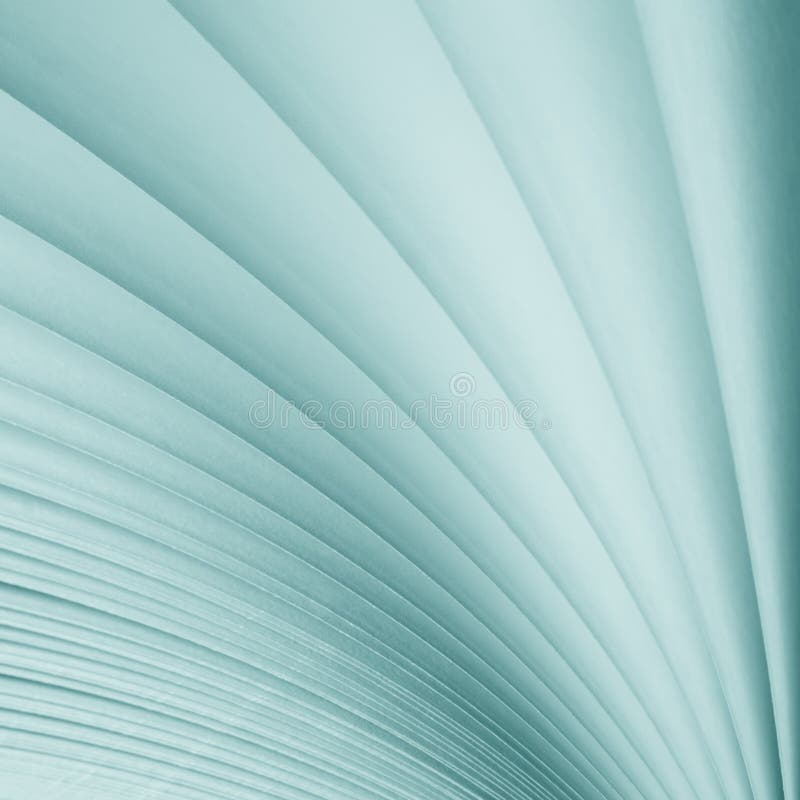 Blurred. a Light Background from the White Pages of a White Open Book ...