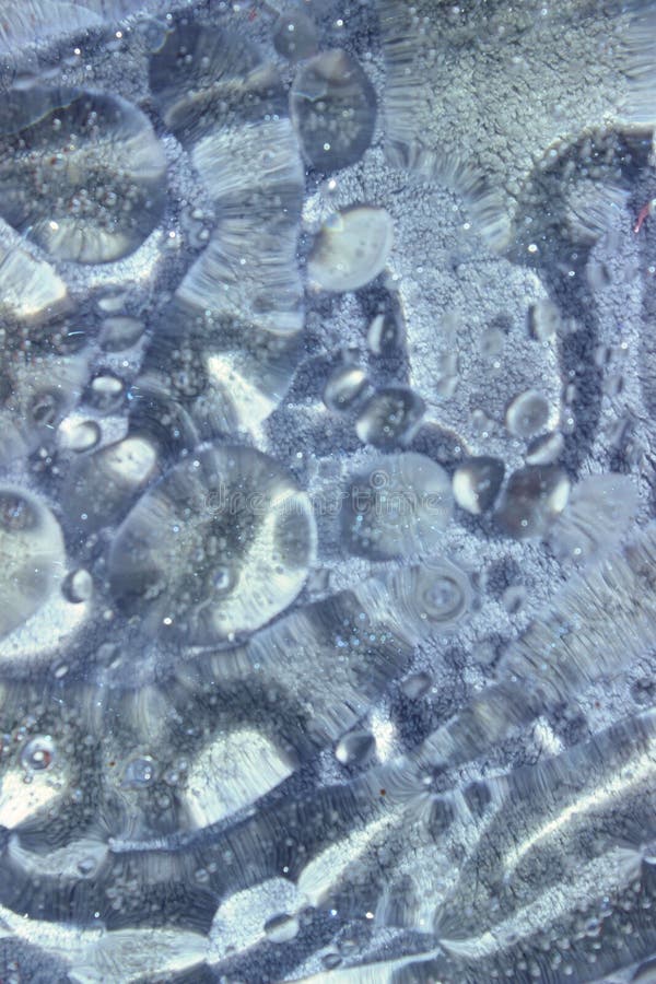 216 Brindle Texture Photos - Free & Royalty-Free Stock Photos from ...