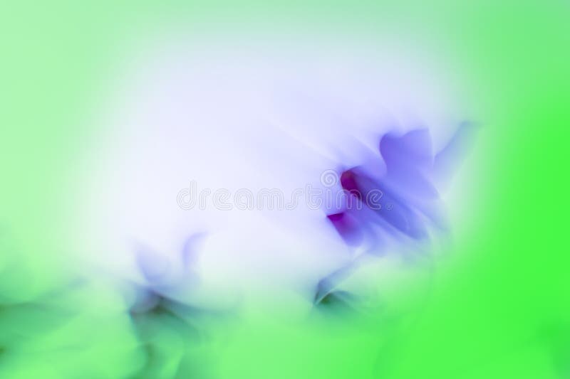 Blurred Motion Spring Flowers Natural Green Background Stock ...