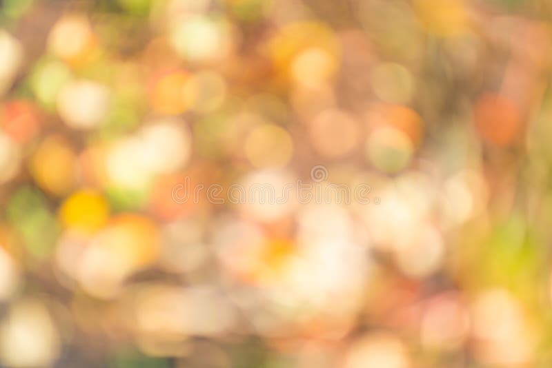 Blurred Multicolor Background. Stock Photo - Image of background ... Blurred Multicolor Background. Stock Photo - Image of background ...