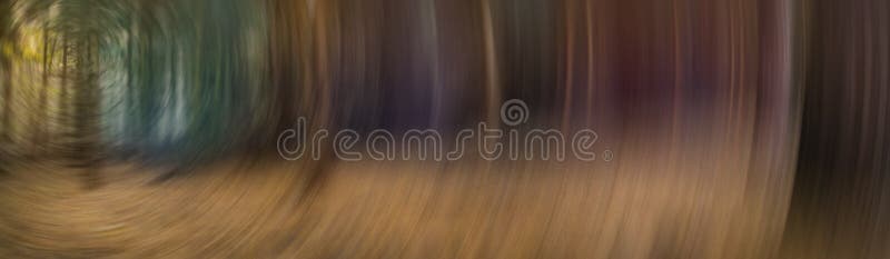 Blurred Mystical Paranormal Fall Forest Banner for Website Header ...