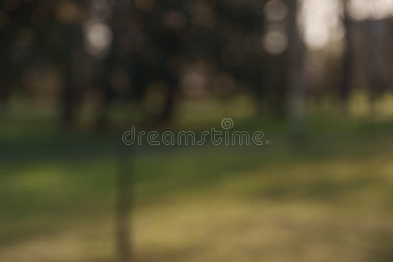 Blurred Outdoor Nature Background of Park or Forest in Spring Stock ...