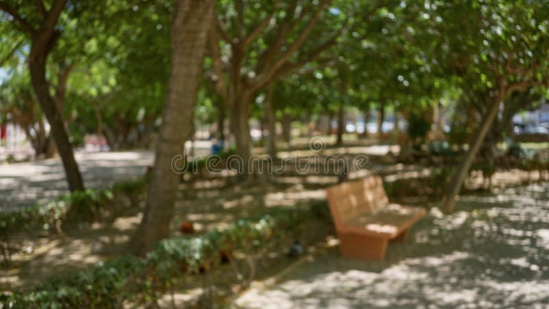 Blurred Outdoor Park Scene with Trees and Empty Bench, Featuring Bokeh ...
