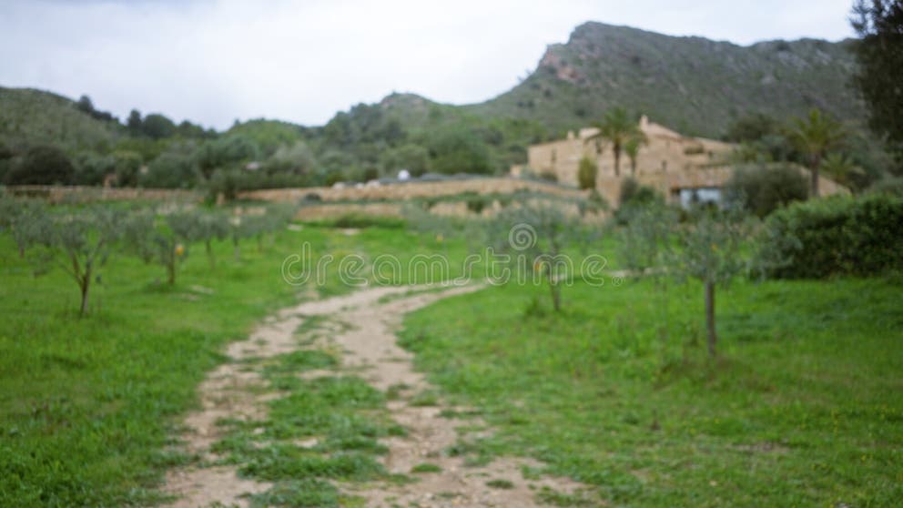 Blurred Path through Mediterranean Fields with Defocused Greenery and ...