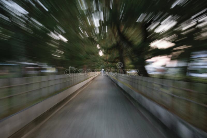 Blurred Pathway with Trees stock image. Image of motion - 319318611