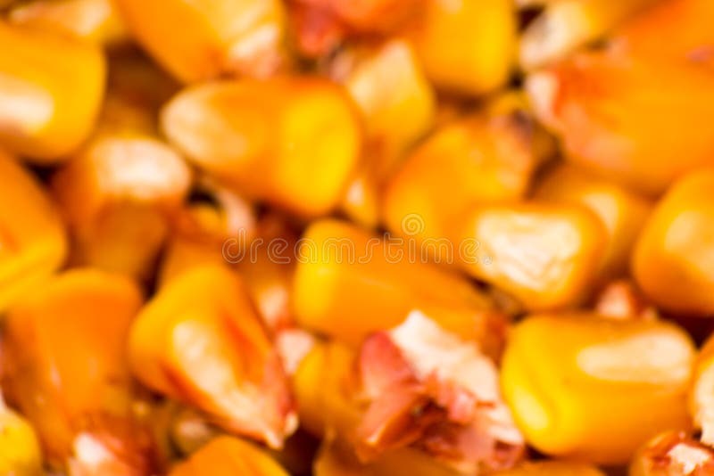 Blurred Photo for Background with Grain Corn Close-up Stock Image ...
