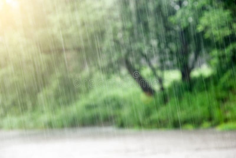 Blurred Rain Drops in Motion Against the Backdrop of the Forest. Stock ...