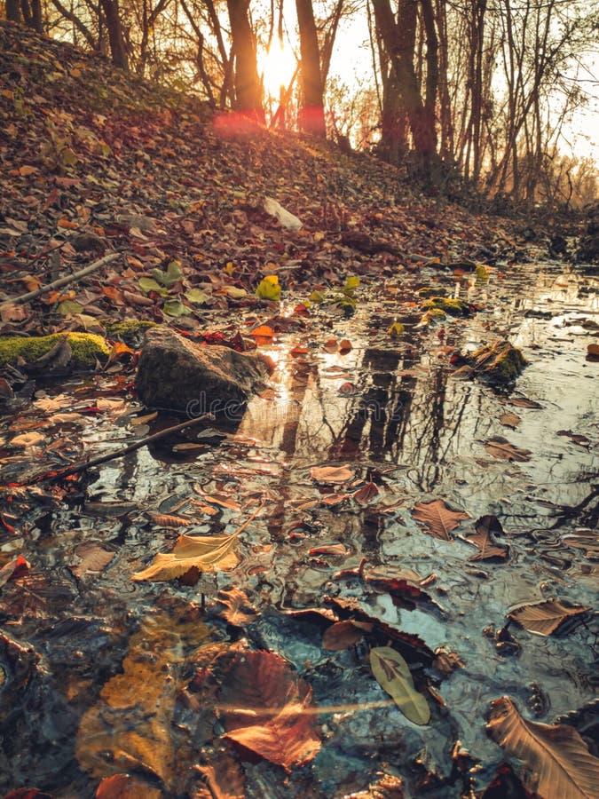 Blurred Reflection in the Water. Beautiful Autumn Landscape. Bright ...