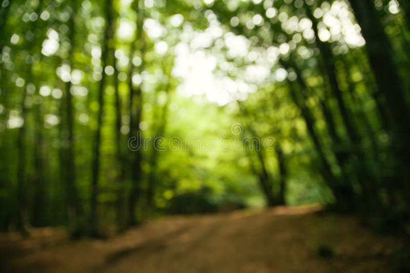 Blurred mountain road stock image. Image of landscape - 13267263