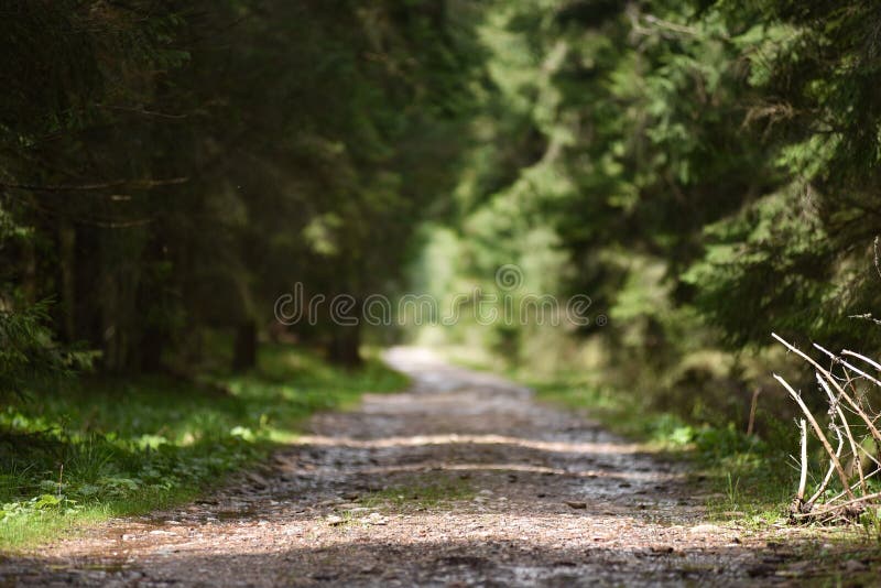 Blurred road perspective stock image. Image of lane, land - 70942885