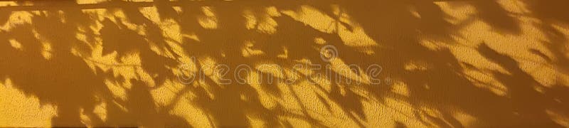 Blurred Shadow from Leaves on Yellow Plastered Wall Stock Photo - Image ...