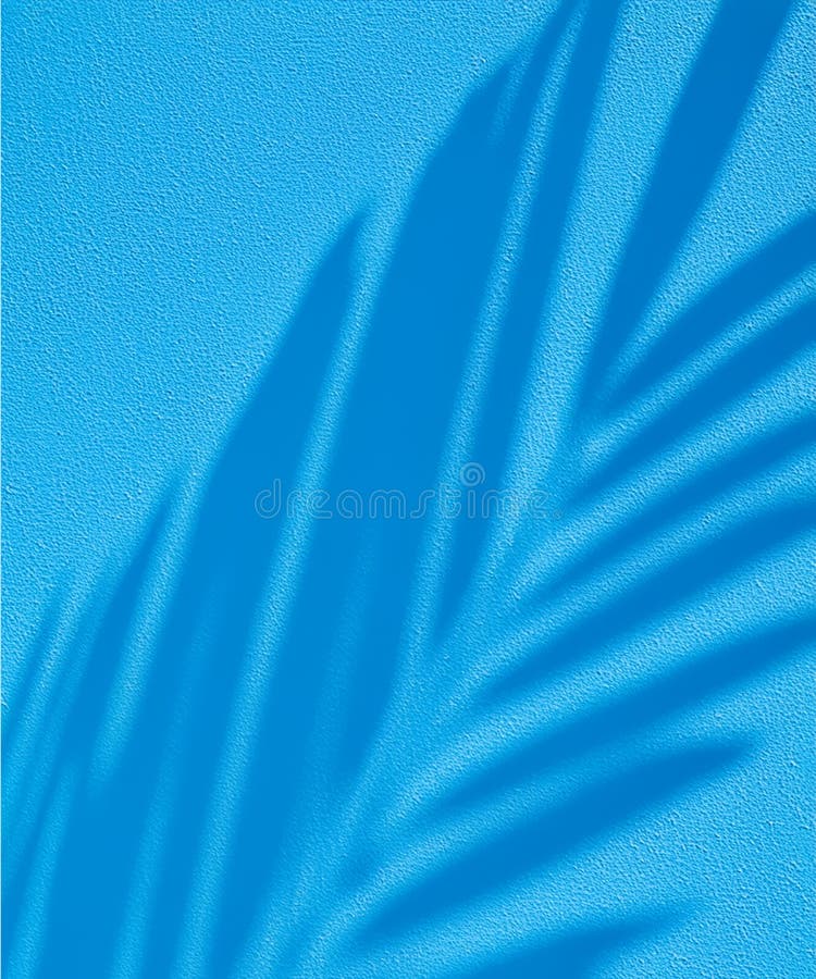 Blurred Shadow from Palm Leaves on the Light Blue Wall. Minimal ...