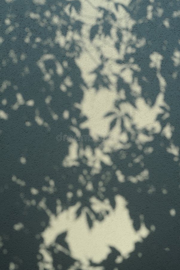 Blurred Shadows of Branches Overlay. Stock Image - Image of abstract ...