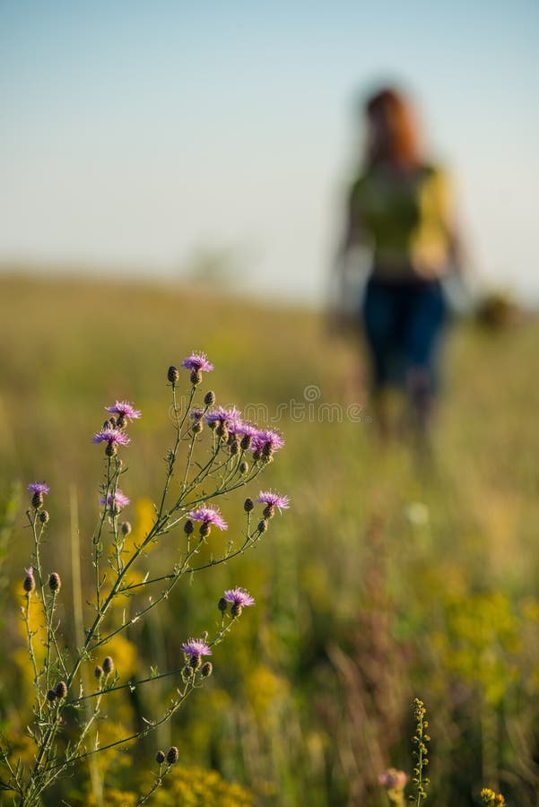 Blurred Silhouette Woman Flowered Meadow Stock Photos - Free & Royalty ...