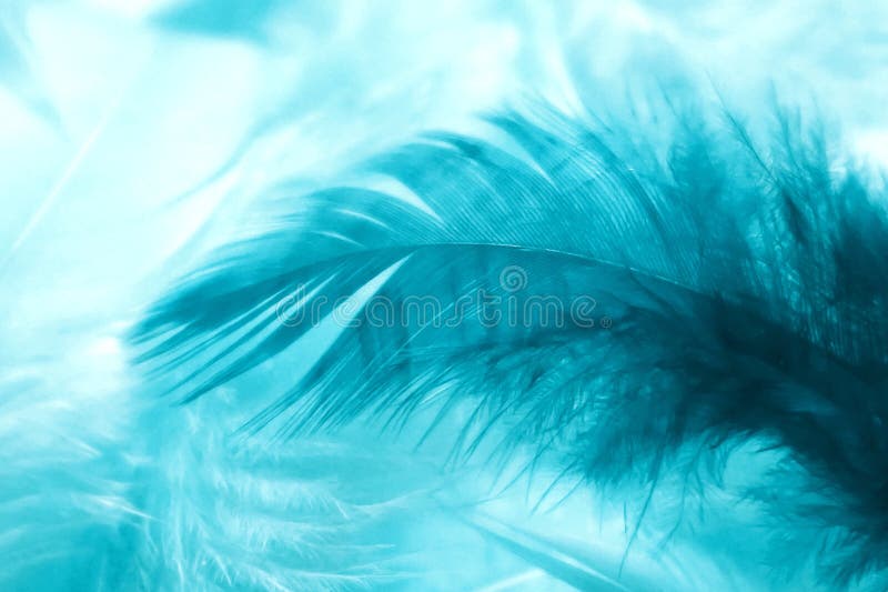 Blurred Soft Blue Turquoise Feather. Art Abstract Trend Texture ...