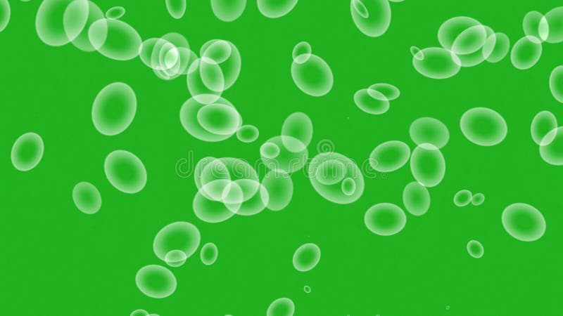 Blurred Solid Oval Shapes Green Screen Motion Graphics Stock Footage ...
