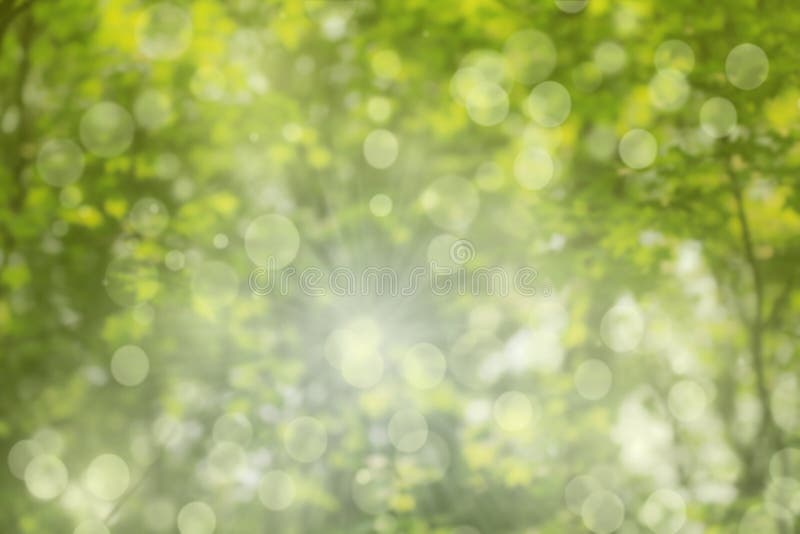 Spring Background, Green Tree Leaves on Blurred Background Stock Photo ...