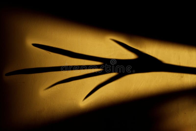 Blurred Strange Shadow on the Wall.Terrible Shadow. Abstract Background ...