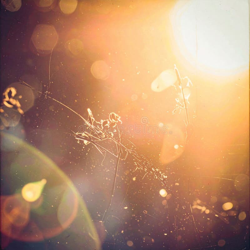 Blurred Sunny Glow with Golden Light Lens Flare and Dust Texture ...