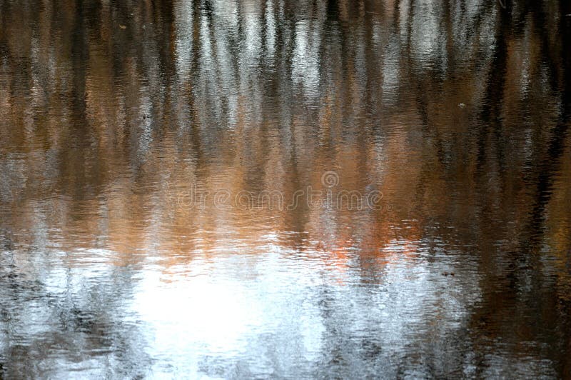 Tree Reflections in Water, Early Spring Landscape Stock Image - Image ...
