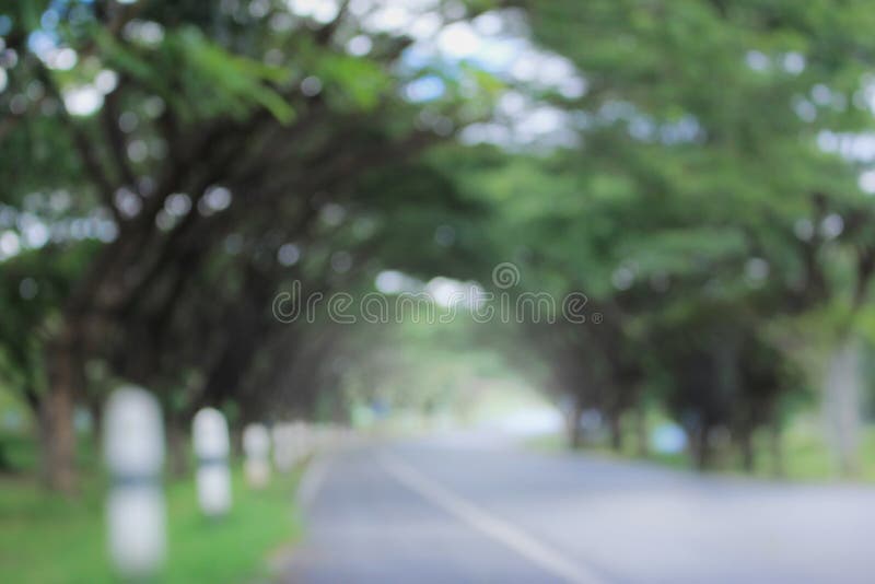 The Blurred Tree and Road in Nature Stock Photo - Image of bokeh, tree ...