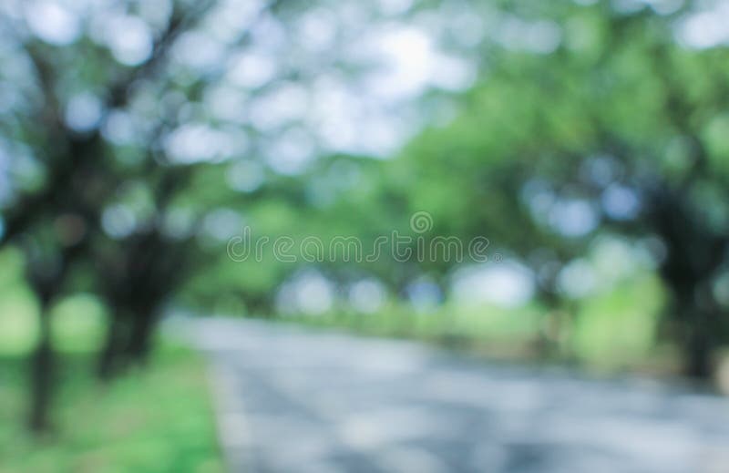 The Blurred Tree and Road in Nature Stock Photo - Image of plants ...