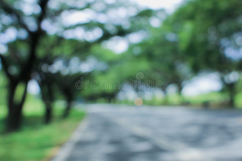 The Blurred Tree and Road in Nature Stock Image - Image of light ...